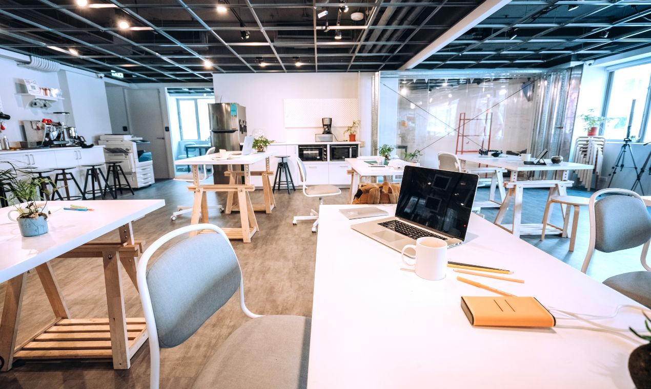 Olleyo | Game Development Company